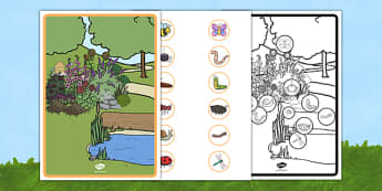 Activities and Worksheets | Minibeasts | Science | KS1