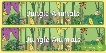 Jungle and Rainforest Animals for the Early Years Learner