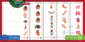 My Body Activities For Grade R - Twinkl South Africa