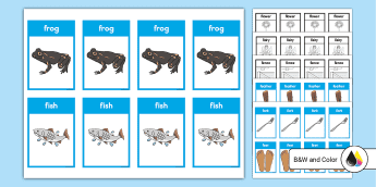 Kindergarten Flash Cards | twinkl.com