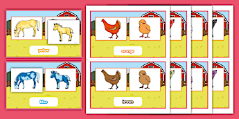 Color Matching Activities | twinkl.com