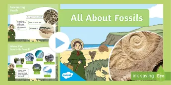 KS1 Non-Fiction Books | twinkl.co.uk