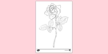 Plants and Flowers Colouring Pages - Twinkl