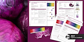 Neutralisation Investigations | twinkl.co.uk