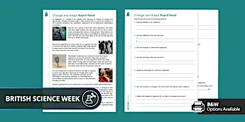 Rapid Reading Comprehensions | twinkl.co.uk