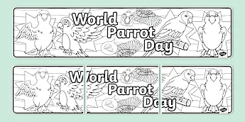Parrots Activities | twinkl.co.uk