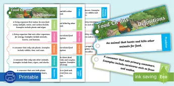 Food Chains Biology | twinkl.co.uk