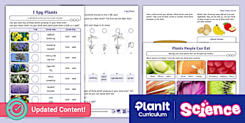 Plants - Year 2 Science Resources - Twinkl