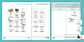Arctic Animals Worksheets | twinkl.com