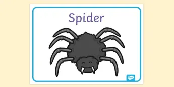 Classroom Biology Resources | twinkl.co.uk