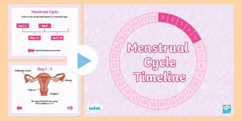 Reproduction and Human Life Cycle | KS2 Science - Twinkl