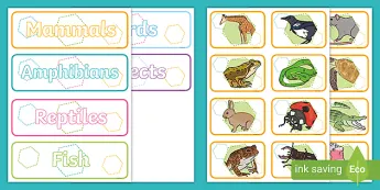 Animal Classifications | twinkl.co.uk