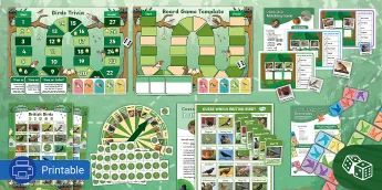 Spring Birds Activities | twinkl.co.uk