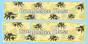 Bumblebee Classroom Resources | twinkl.co.uk