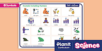 Lesson Plans For Science | Year 2 Animals Including Humans