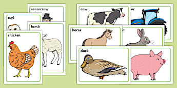 Farm Animals | Animals | Topics | EYLF | Australia - Twinkl