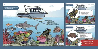 Coral Reefs | twinkl.co.uk