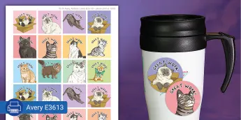 Cats & Kittens | twinkl.co.uk