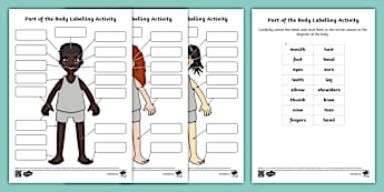 My Body Lesson Primary Teaching Resources | Twinkl - Twinkl