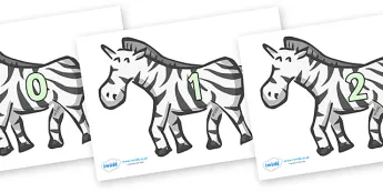 A4 Number Cards | twinkl.com.au
