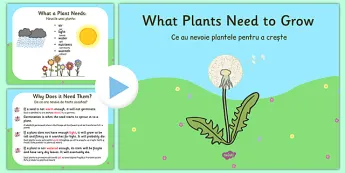 Plant Growth Presentations | twinkl.com.au