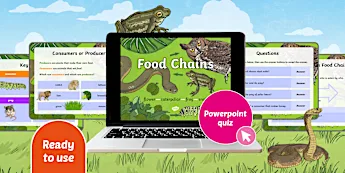 Food Chains Science | twinkl.co.uk