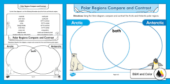 Compare and Contrast Worksheets | twinkl.com