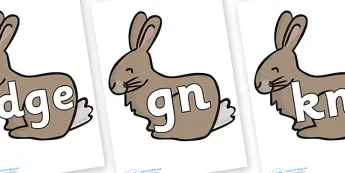 Rabbit Images | twinkl.co.uk