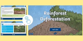 Rainforest Reading Comprehensions | twinkl.com.au