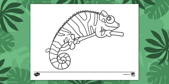 Rainforest and Jungle Colouring Ideas for Parents and Kids