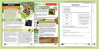 Biology Reading Comprehension Activity • Twinkl.com.au