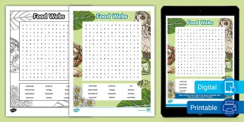 Food Webs Activities | twinkl.com