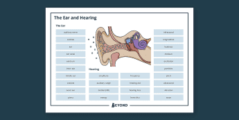 Hearing Resources | twinkl.co.uk