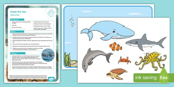 Preschool Ocean Theme Activities | EYLF Resources | Twinkl