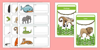 Jungle & Rainforest Classroom Signs and Labels Primary Resources
