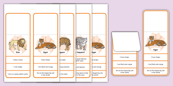 Big Cats Activities | twinkl.co.uk