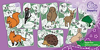 Reading Flashcards | twinkl.com.au