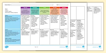 Stem Assessment Rubric • Twinkl.com.au