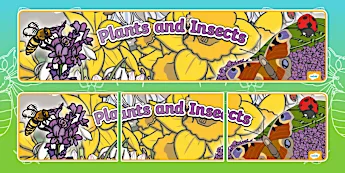 Plants Display Banners | twinkl.com.au