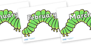 The Very Hungry Caterpillar - Displays - KS1 English