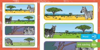 Zebra Labels | twinkl.com.au