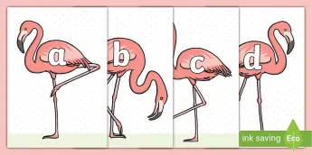 Colourful Flamingos | twinkl.co.uk