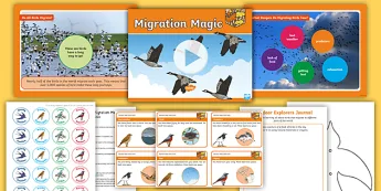 Migration Sciences | twinkl.co.uk