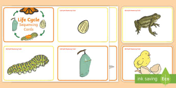 Life Cycles | Animals, Including Humans | Science | KS1