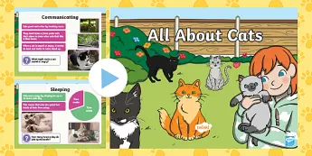 Cats & Kittens | twinkl.co.uk