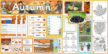 Autumn Weather Activities | Fall Teaching Resources - Page 8