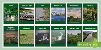 Amazon Rainforest Resources | twinkl.co.uk