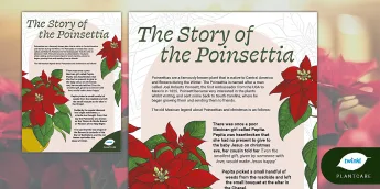 Christmas Poinsettias | twinkl.com.au