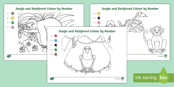 Rainforest and Jungle Animal Activities for Early Years EYFS