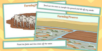 Ancient Sumer PowerPoints | Ancient Sumer | KS2 History